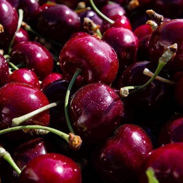 Drzewka owocowe - Czereśnia Narana | blog i poradnik ogrodniczy ...