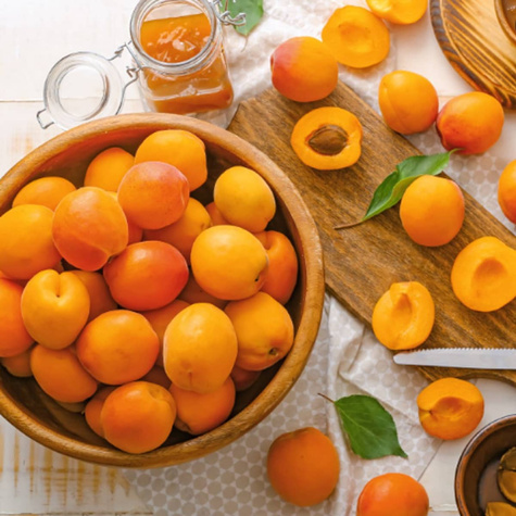 Sadzonki moreli - morele | Sadowniczy.pl