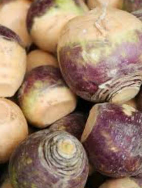 Brukiew jadalna 10g| Sadowniczy.pl