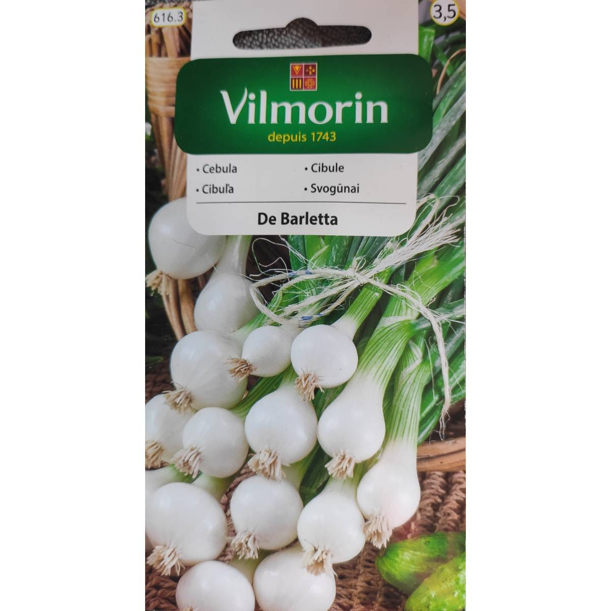 Cebula perłowa De Barletta 2g zielona cebulka | Sadowniczy.pl