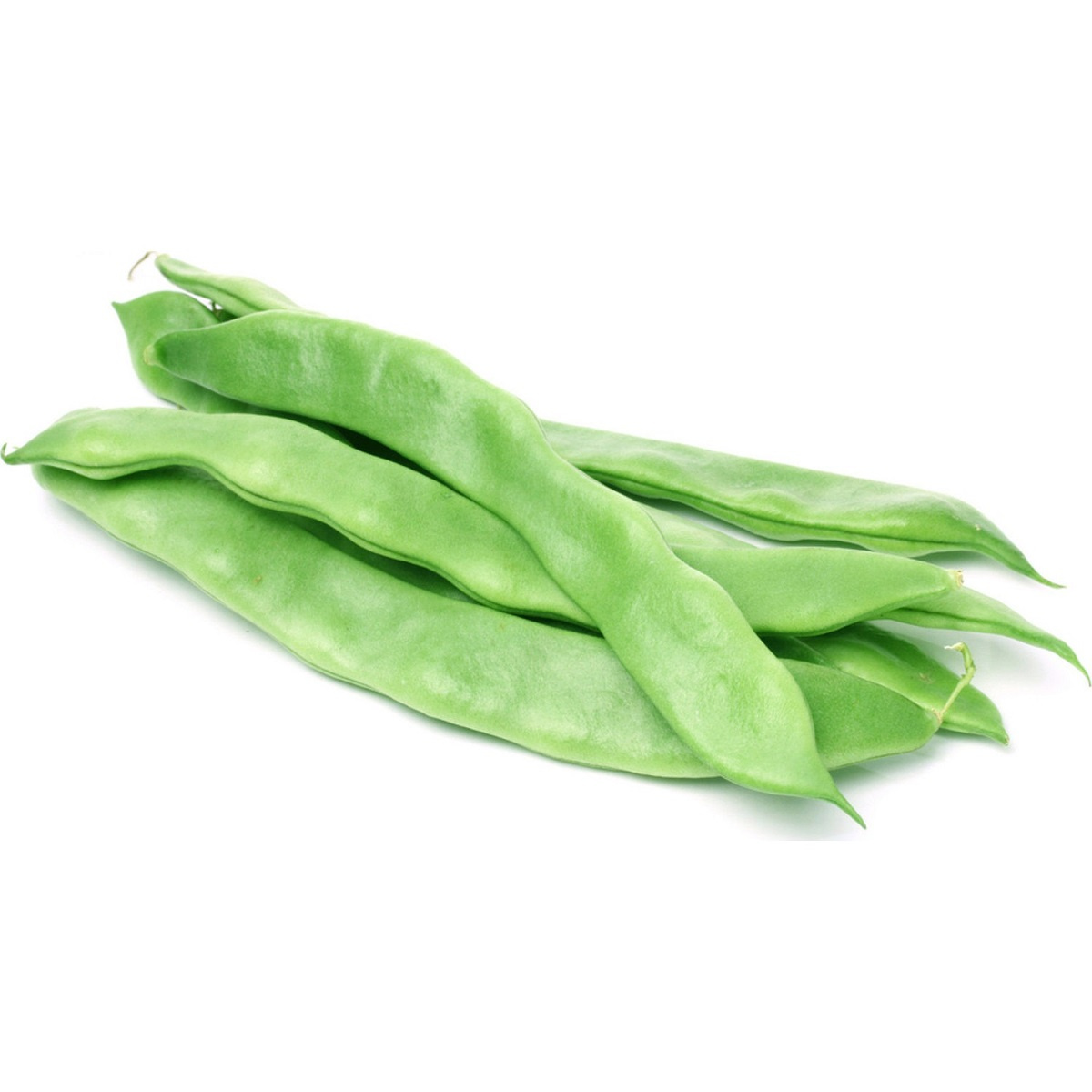 Fasola szparagowa zielona tyczna bezłykowa Marconi - 10g | NASIONA ...