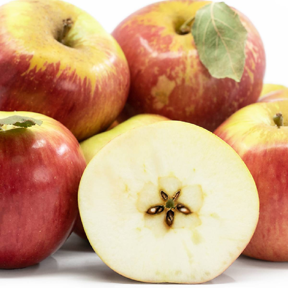 Jabłoń Idared w doniczce C2| Sadowniczy.pl