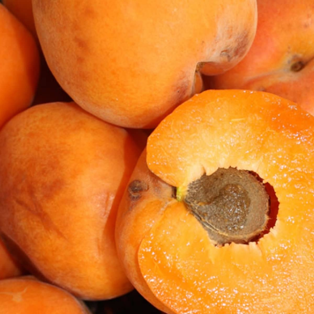 Morela - Sundrop START PACK- duży wybór