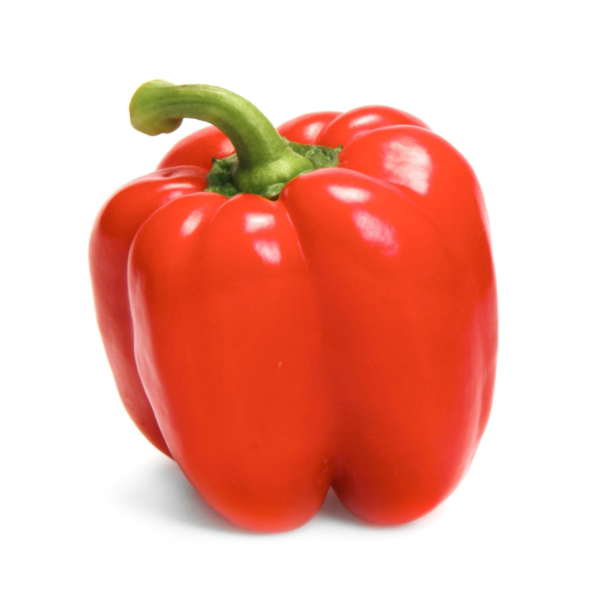 Papryka słodka Bogna gruntowa 0,5g| Sadowniczy.pl