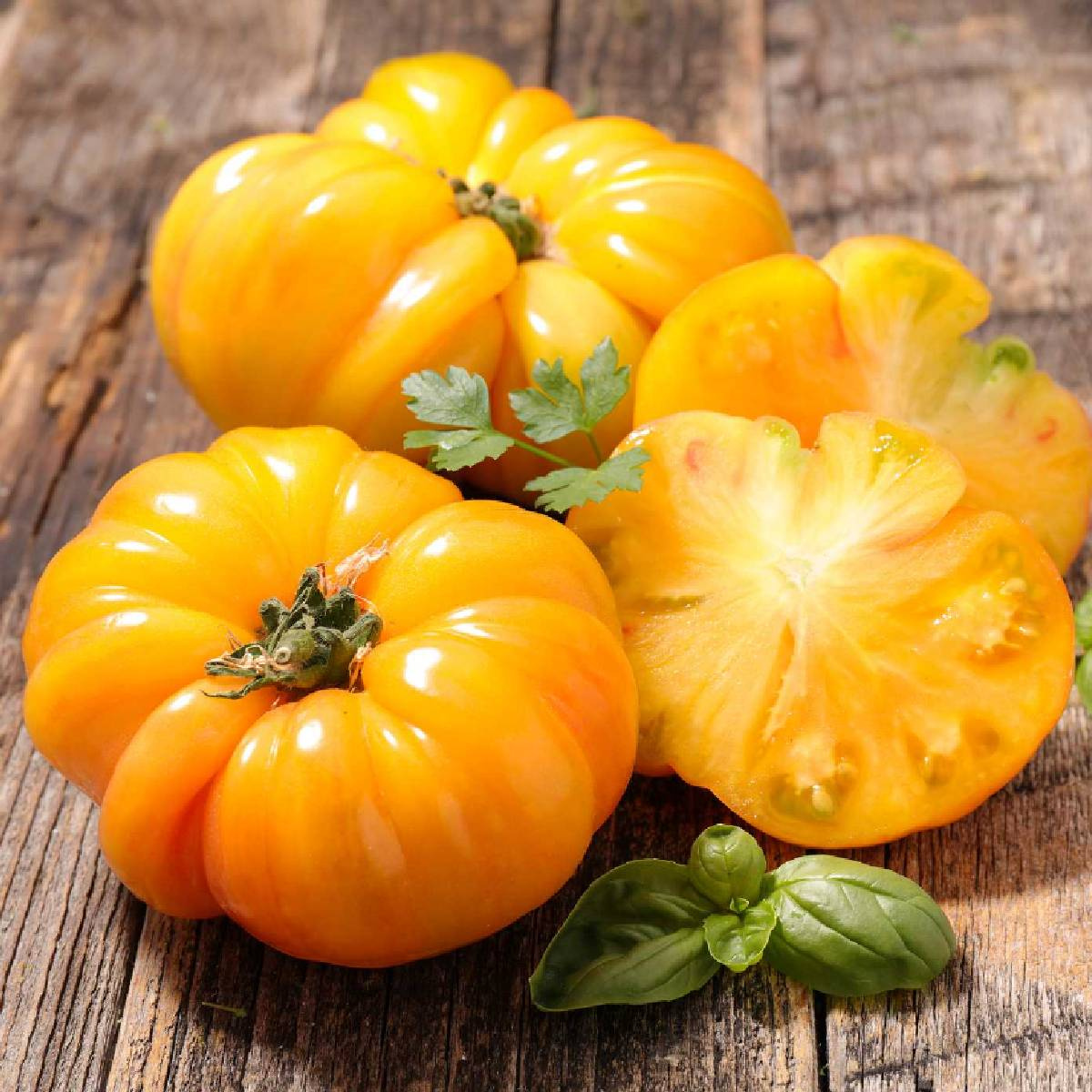 Pomidor gruntowy wysoki Pineapple F1 0,1g| Sadowniczy.pl