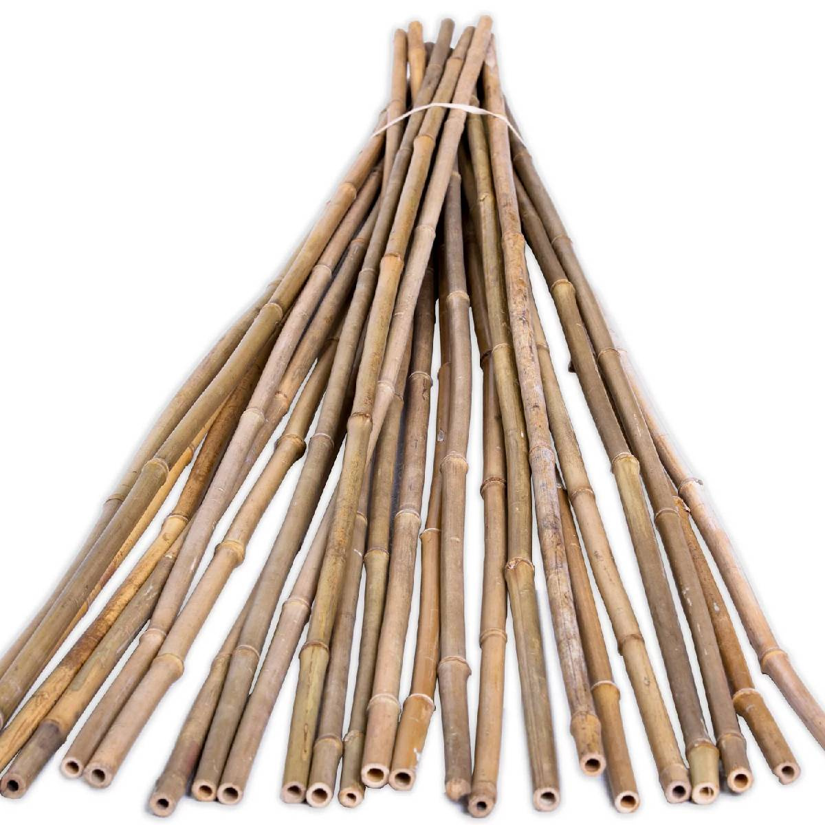 Tyczka bambusowa dł. 150cm, gr. 10-12 mm| Sadowniczy.pl