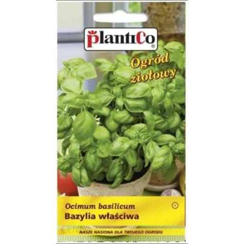 Bazylia właściwa Zioła lecznicze na trawienie 1g| Sadowniczy.pl