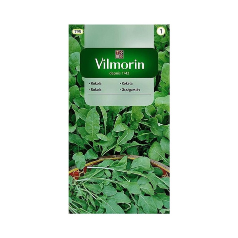 Nasiona Rukoli | Sadowniczy.pl