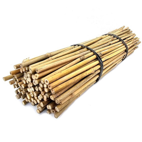 Tyczka bambusowa dł. 120cm, gr. 10-12 mm| Sadowniczy.pl